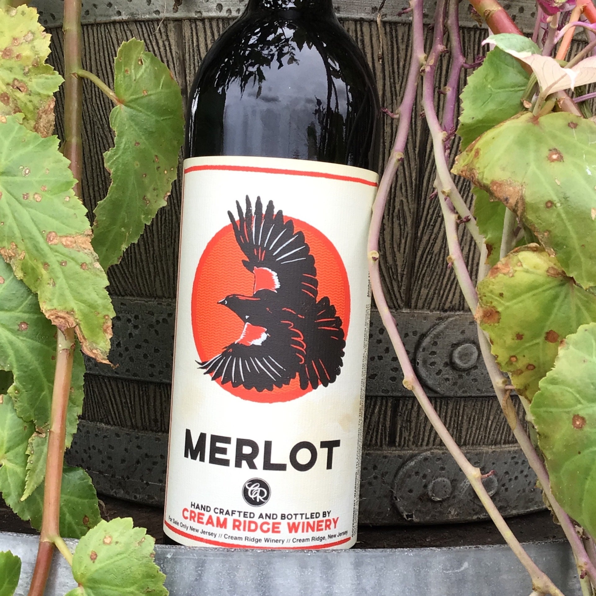 Merlot | Cream Ridge Winery